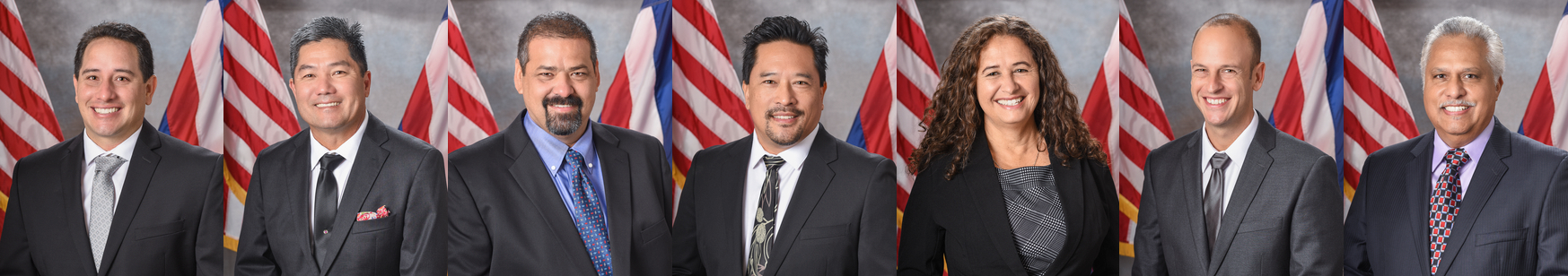 Kauai Council Watch – Follow the progress of the Kauai County Council